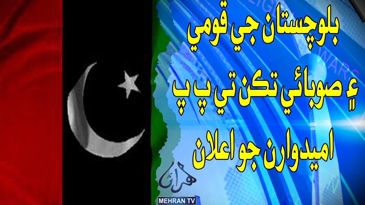 PPP Announces Candidates for National and Provincial Assemblies in ...